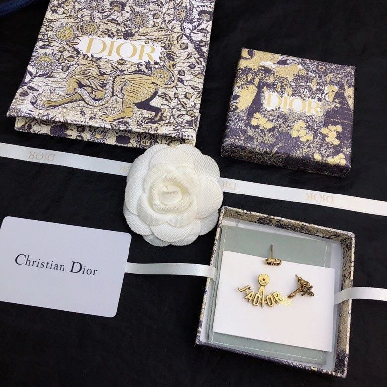 High fidelity Christian Dior Earrings