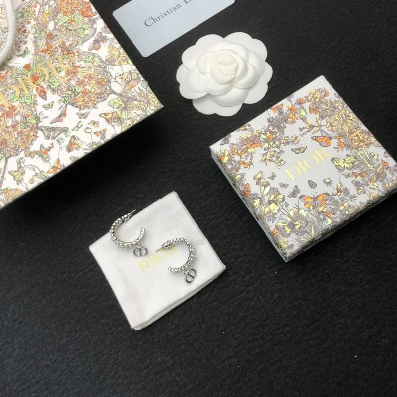 Cut-rate Christian Dior Earrings