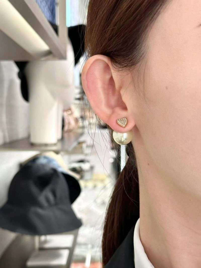 Precise copy Christian Dior Earrings