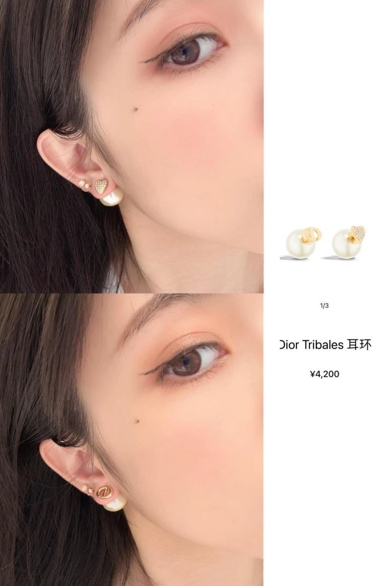 Precise copy Christian Dior Earrings