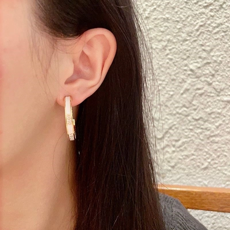Precise copy Christian Dior Earrings
