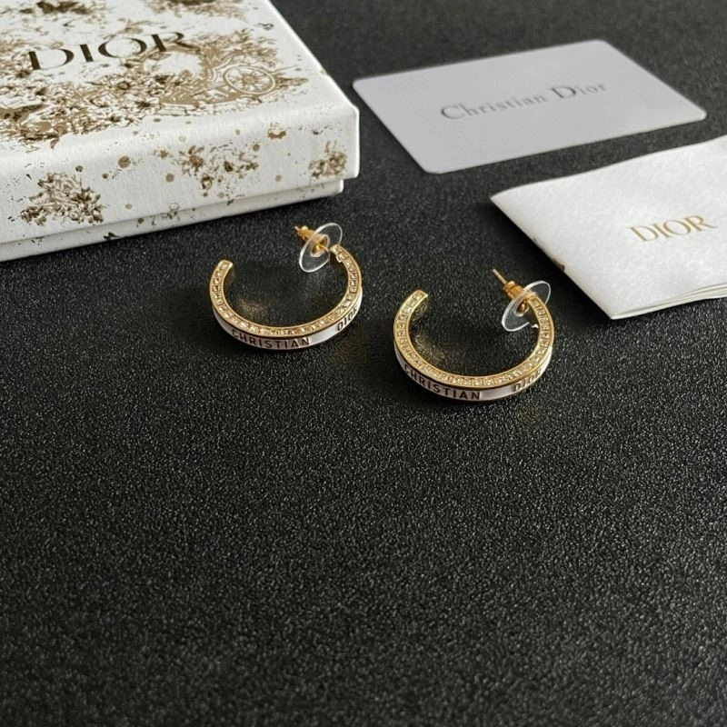 Precise copy Christian Dior Earrings