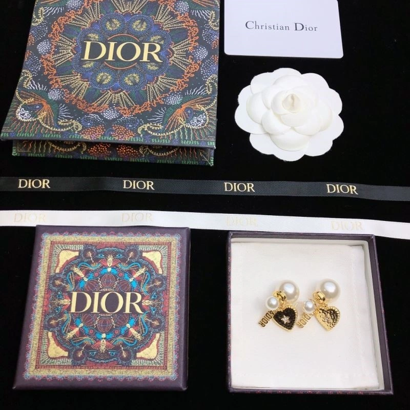 High accuracy Christian Dior Earrings