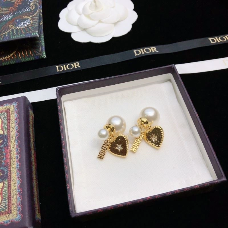 High accuracy Christian Dior Earrings