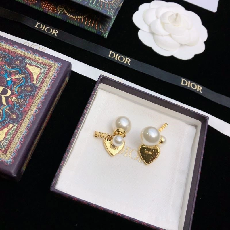 High accuracy Christian Dior Earrings
