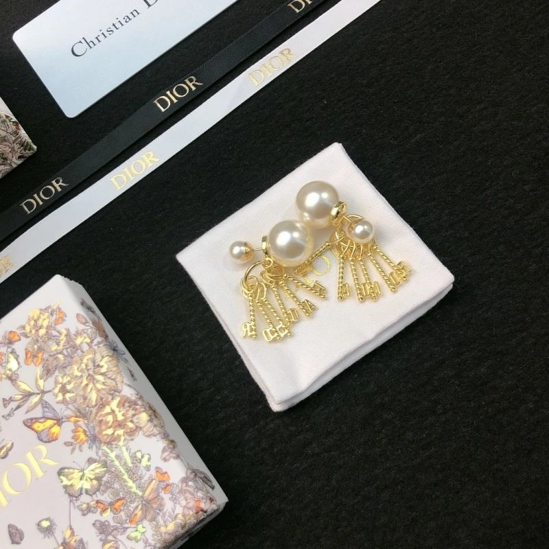 Mirror quality Christian Dior Earrings