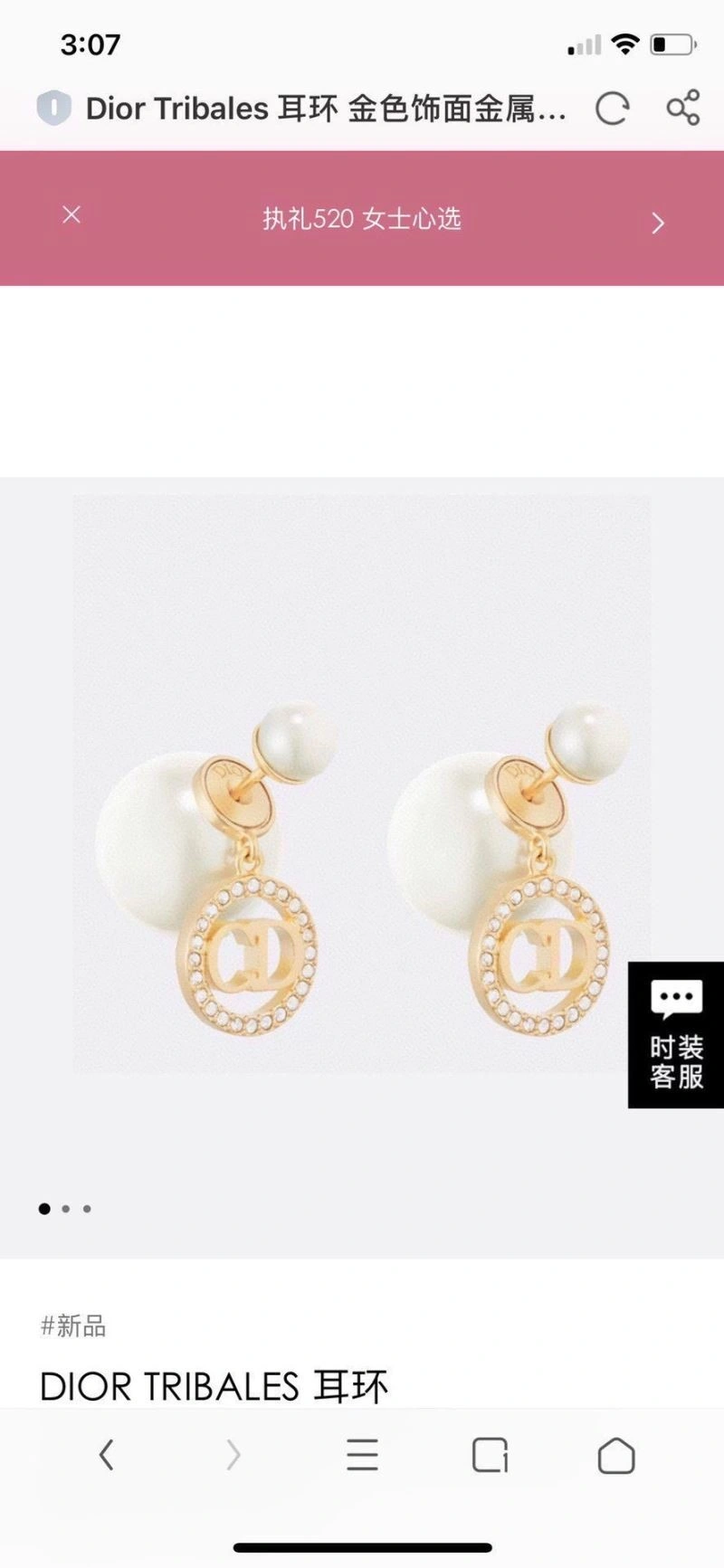 Mirror quality Christian Dior Earrings