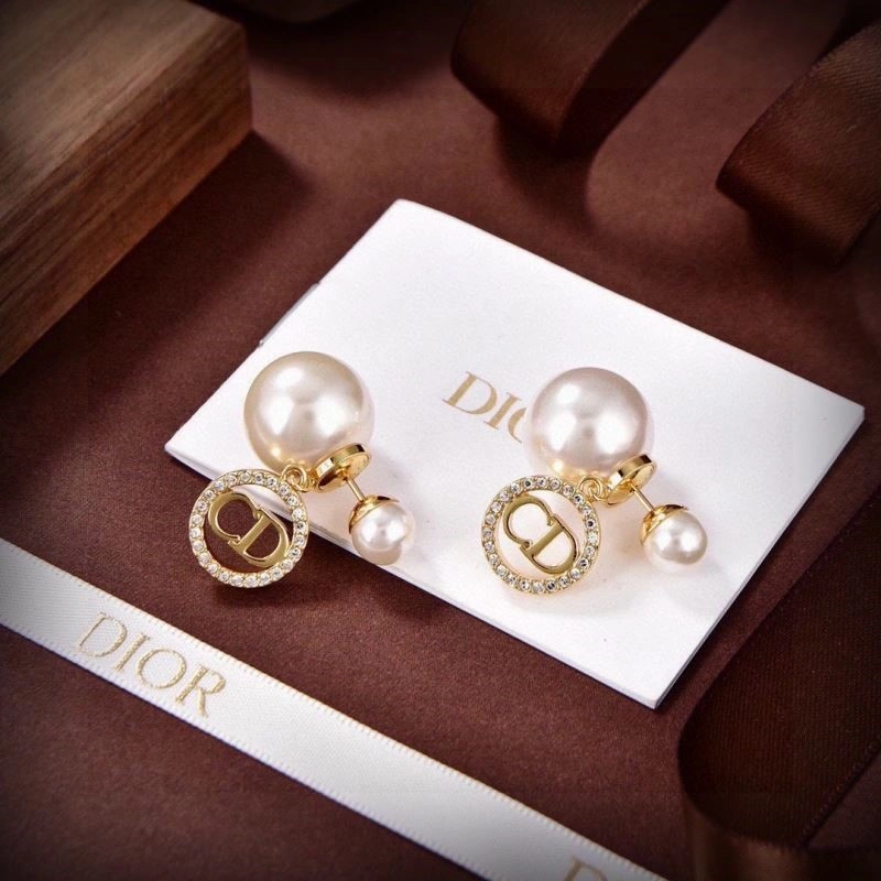 Mirror quality Christian Dior Earrings