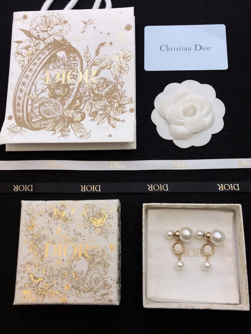 High fidelity Christian Dior Earrings