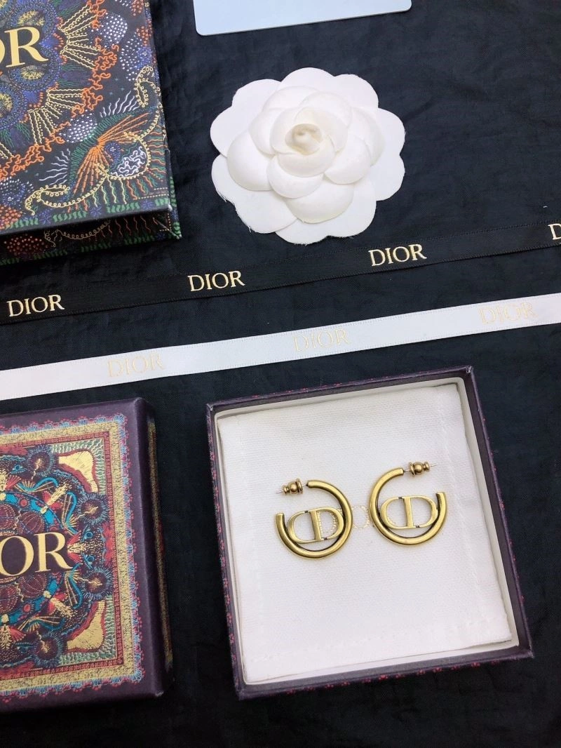 Legit Christian Dior Earrings