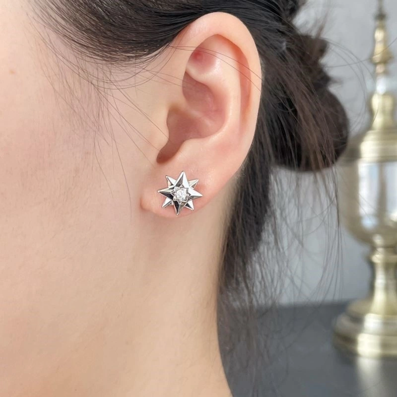 Christian Dior Earrings