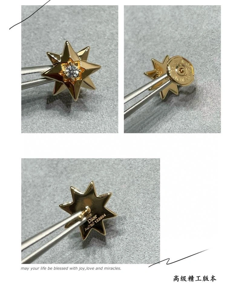 OEM Christian Dior Earrings