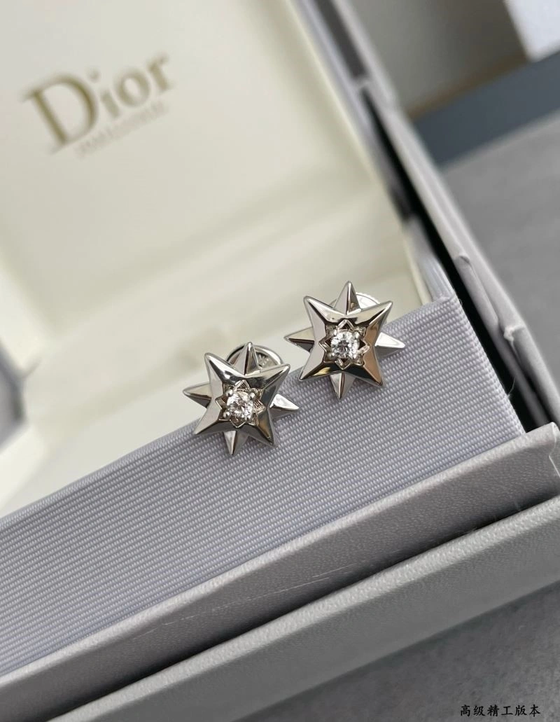 OEM Christian Dior Earrings