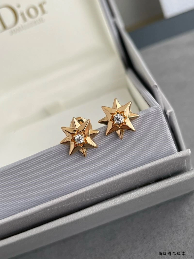 OEM Christian Dior Earrings