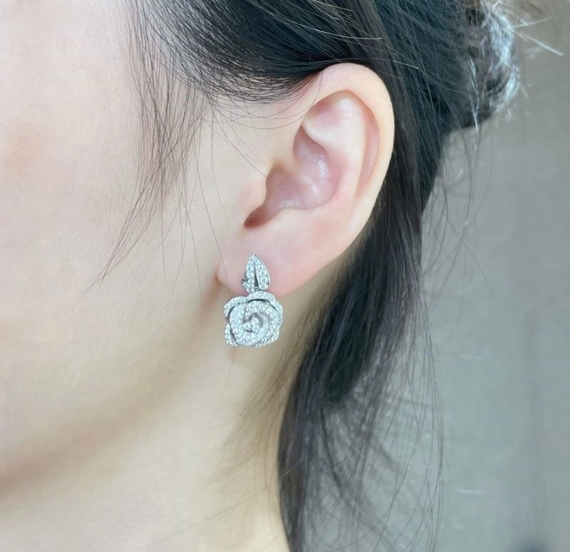 Official Christian Dior Earrings