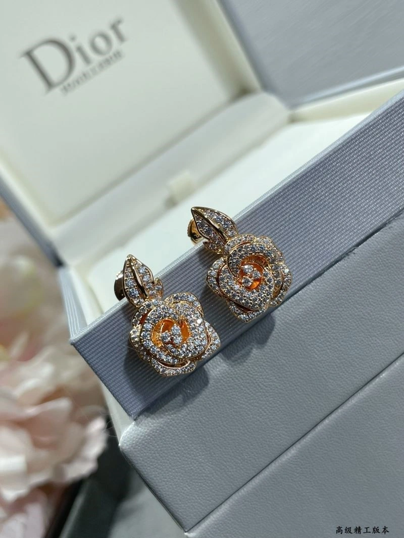 Official Christian Dior Earrings