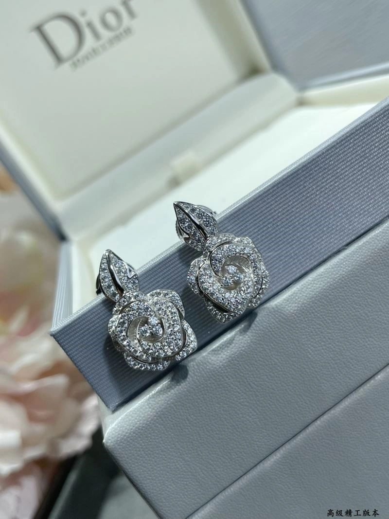 Official Christian Dior Earrings