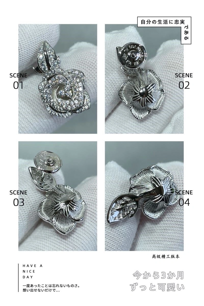 Official Christian Dior Earrings