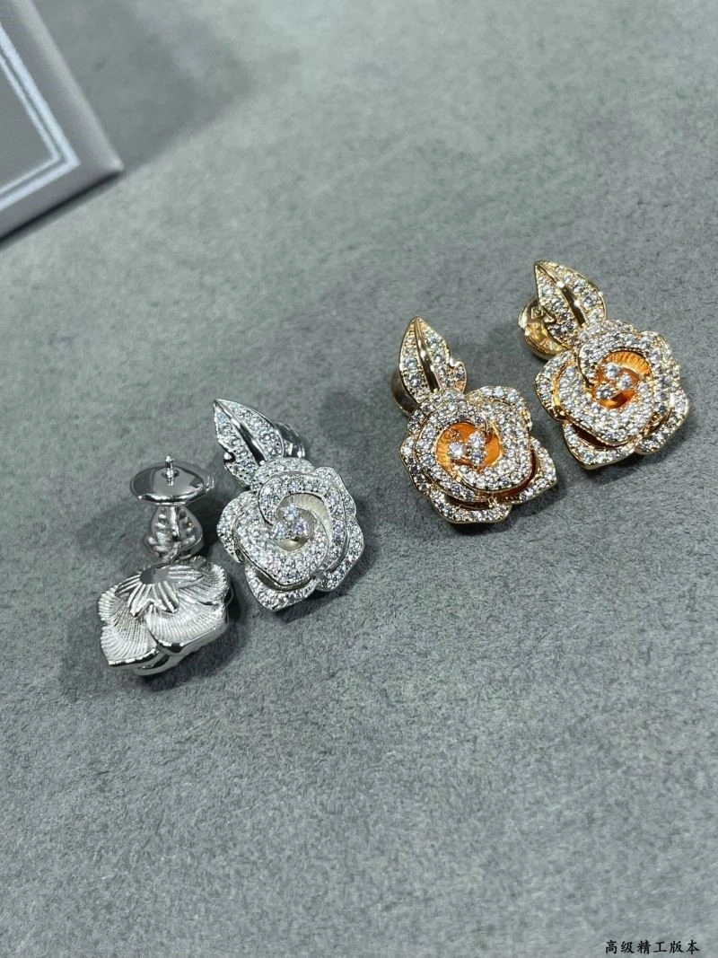 Official Christian Dior Earrings