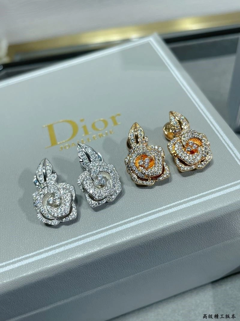 Official Christian Dior Earrings