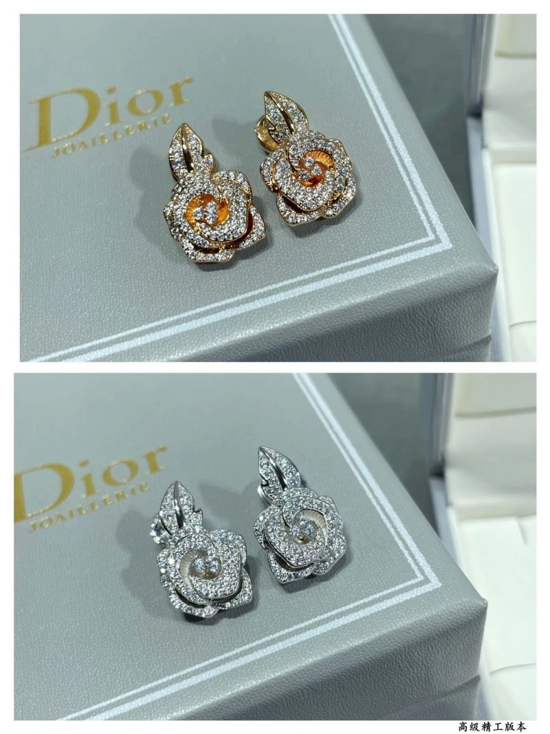Official Christian Dior Earrings