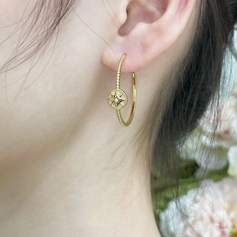Christian Dior Earrings