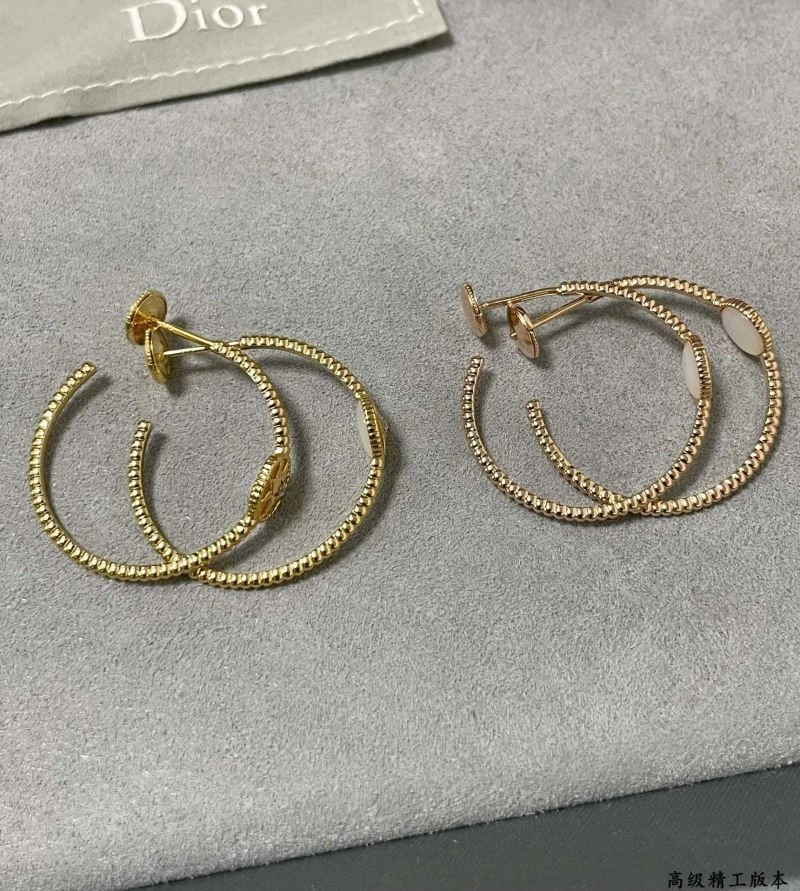 Cut-rate Christian Dior Earrings
