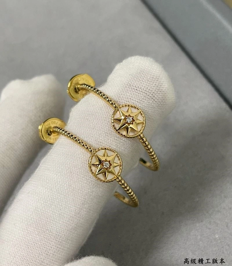 Cut-rate Christian Dior Earrings