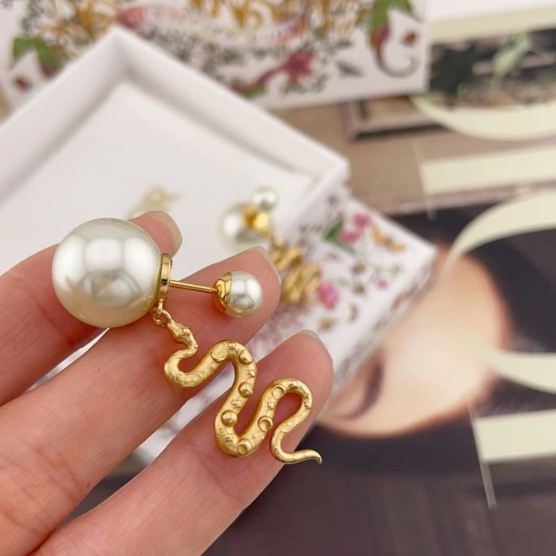 Christian Dior Earrings