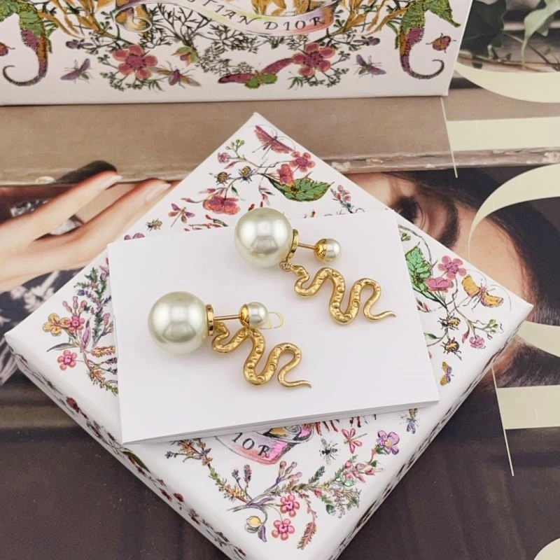 Economical Christian Dior Earrings