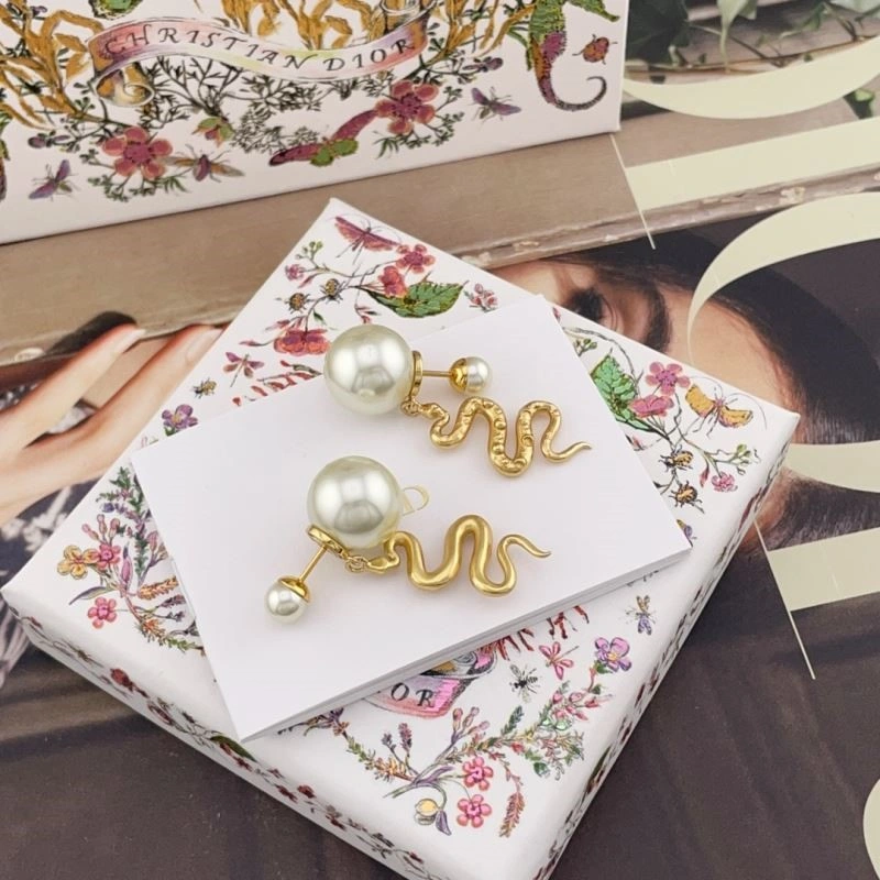 Economical Christian Dior Earrings