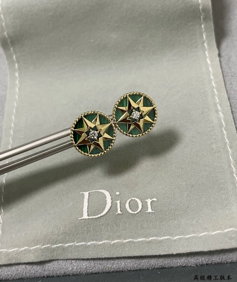 High fidelity Christian Dior Earrings