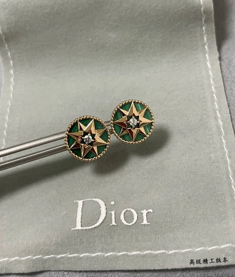 High fidelity Christian Dior Earrings