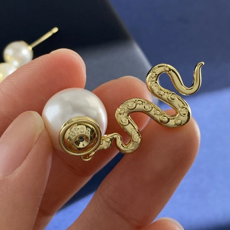 Inexpensive Christian Dior Earrings