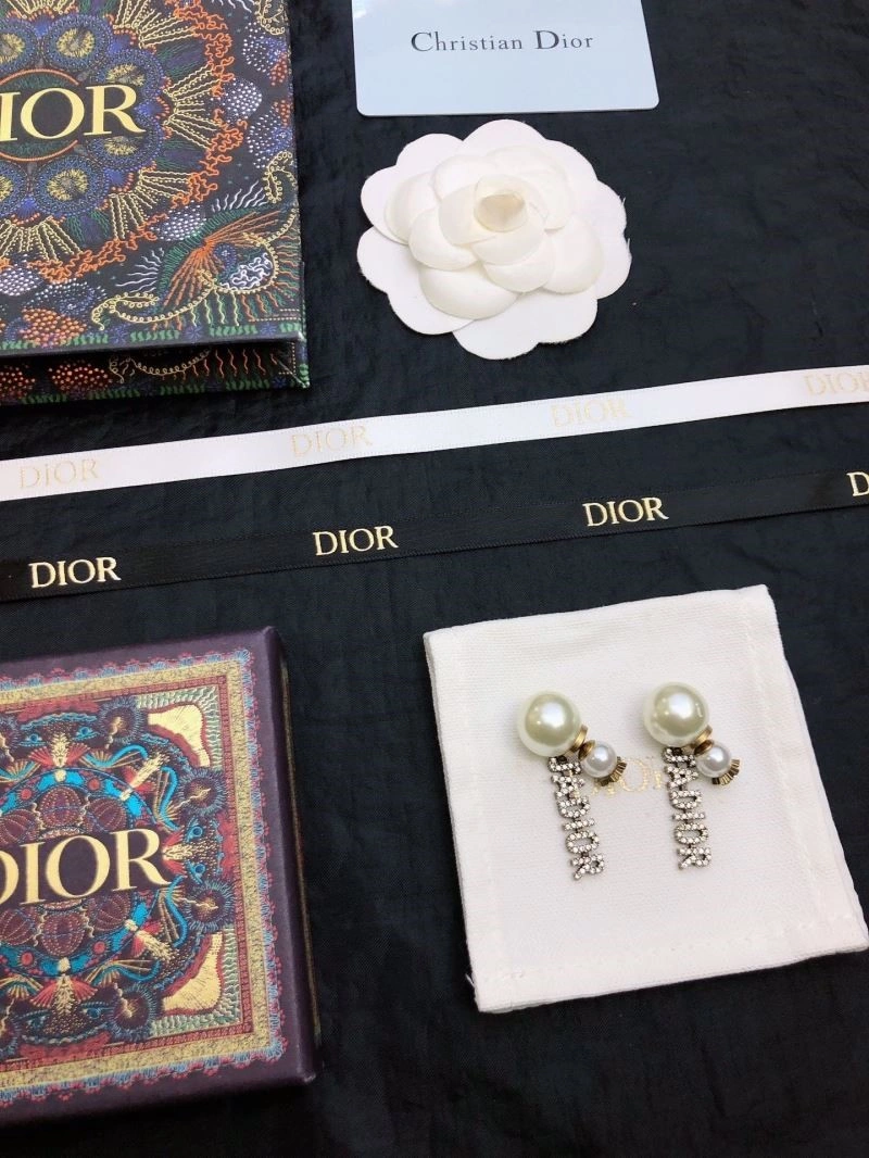 Precise copy Christian Dior Earrings