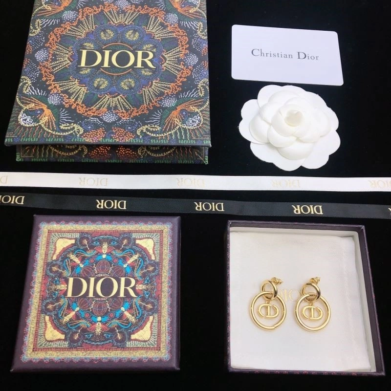 High fidelity Christian Dior Earrings