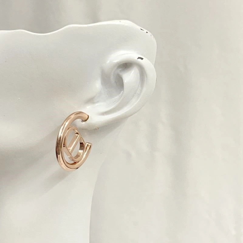 Indistinguishable Christian Dior Earrings