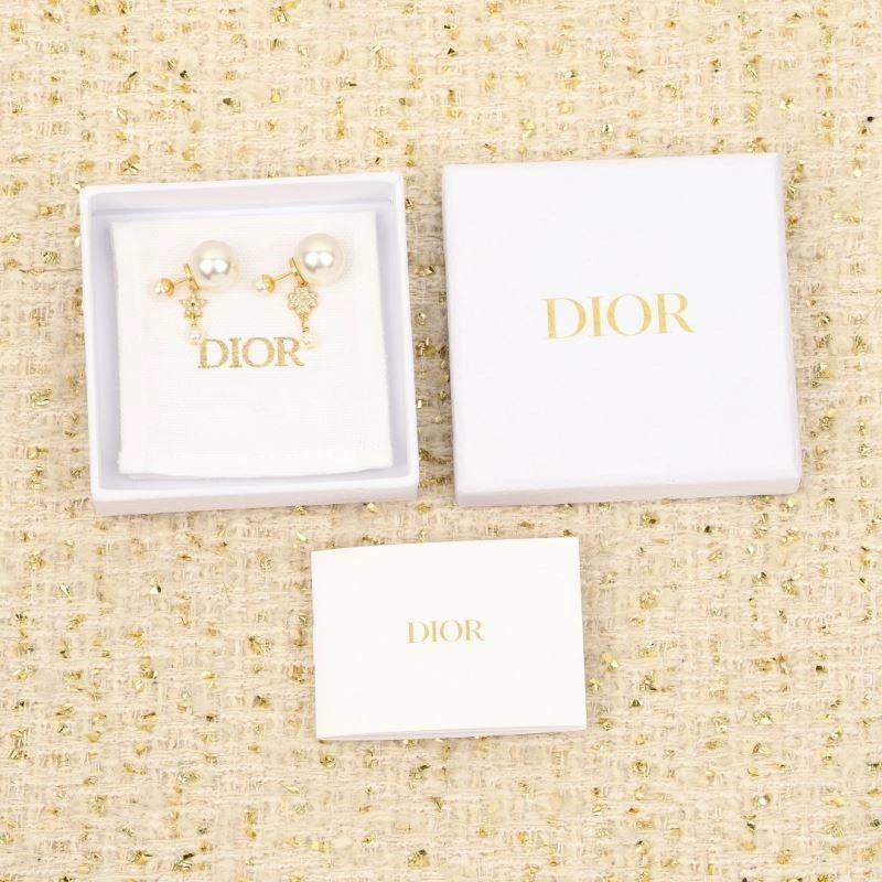 Christian Dior Earrings
