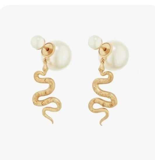 Brand-original Christian Dior Earrings