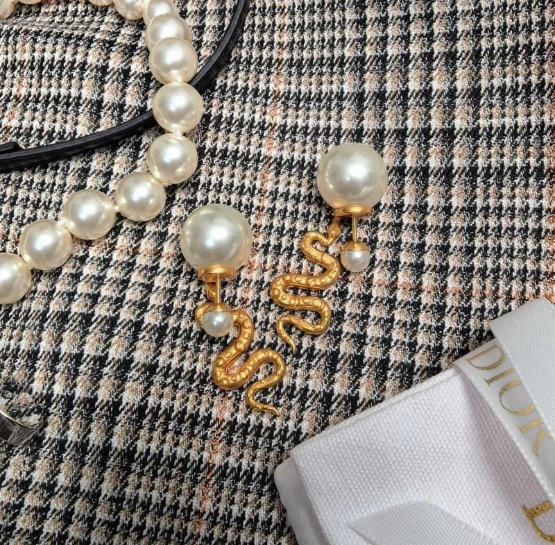 Brand-original Christian Dior Earrings