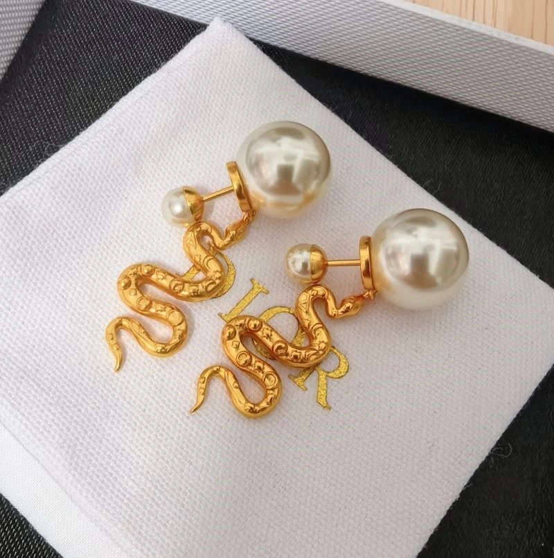 Brand-original Christian Dior Earrings