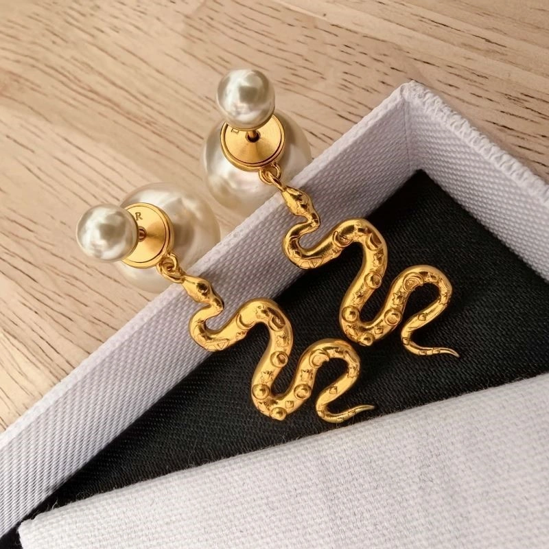 Brand-original Christian Dior Earrings