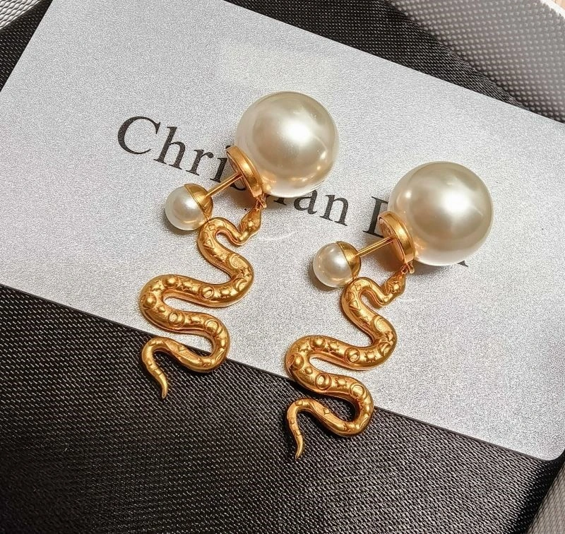Brand-original Christian Dior Earrings