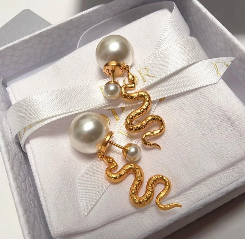 Brand-original Christian Dior Earrings