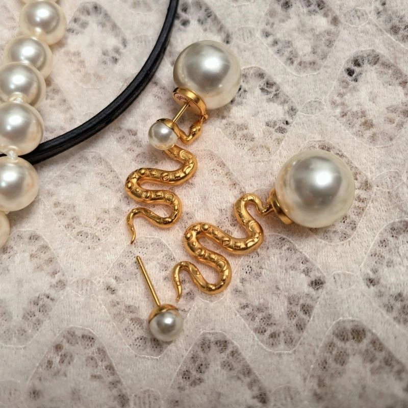 Brand-original Christian Dior Earrings