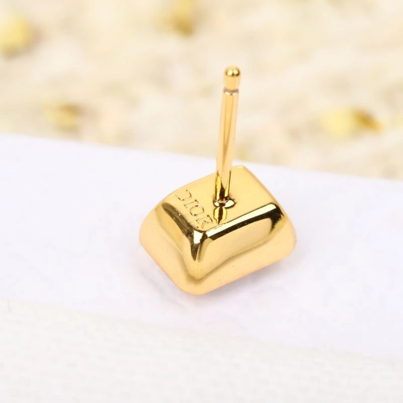 Cut-rate Christian Dior Earrings