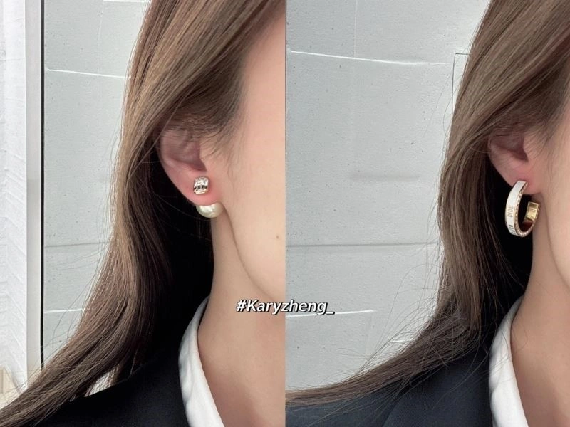 Cut-rate Christian Dior Earrings