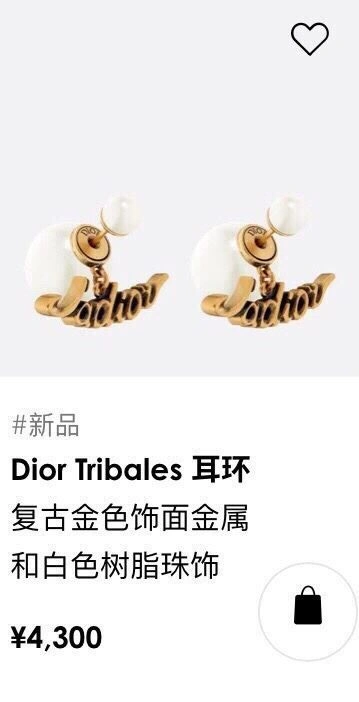 OEM Christian Dior Earrings