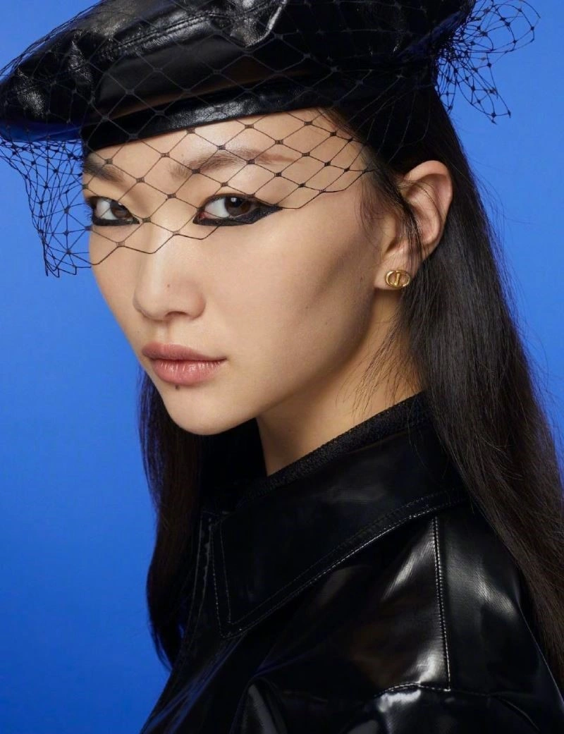 High fidelity Christian Dior Earrings