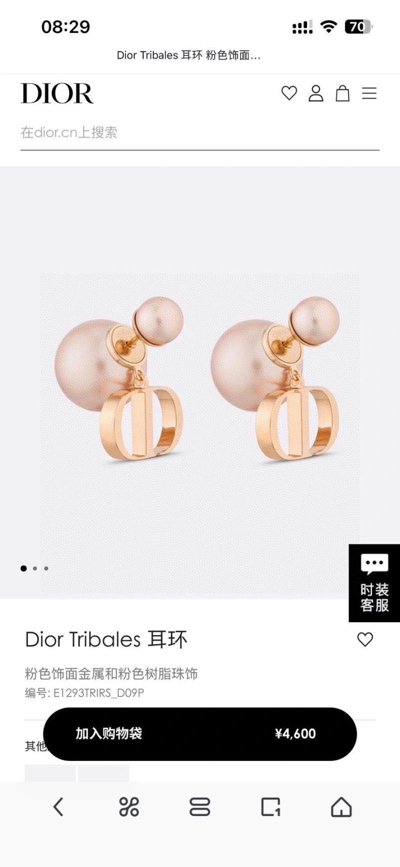 Official Christian Dior Earrings